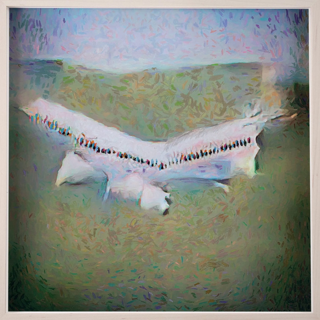 Anne Spalter - Techspressionism